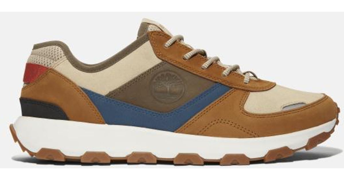 Timberland Winsor Park Low Lace-Up Trainer in Brown for Men | Lyst UK