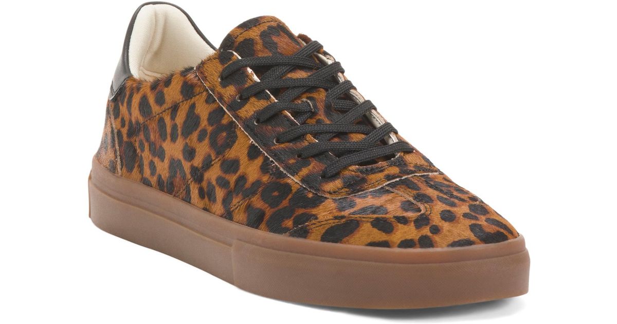 TJ Maxx Leather Cody Sneakers For in Brown | Lyst