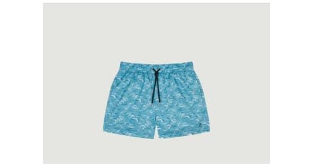 Apnée Algae Swim Shorts L in Blue for Men | Lyst