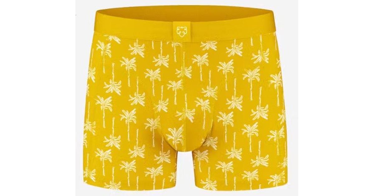 Adam Lippes Palm Trees Boxer Briefs in Yellow for Men | Lyst