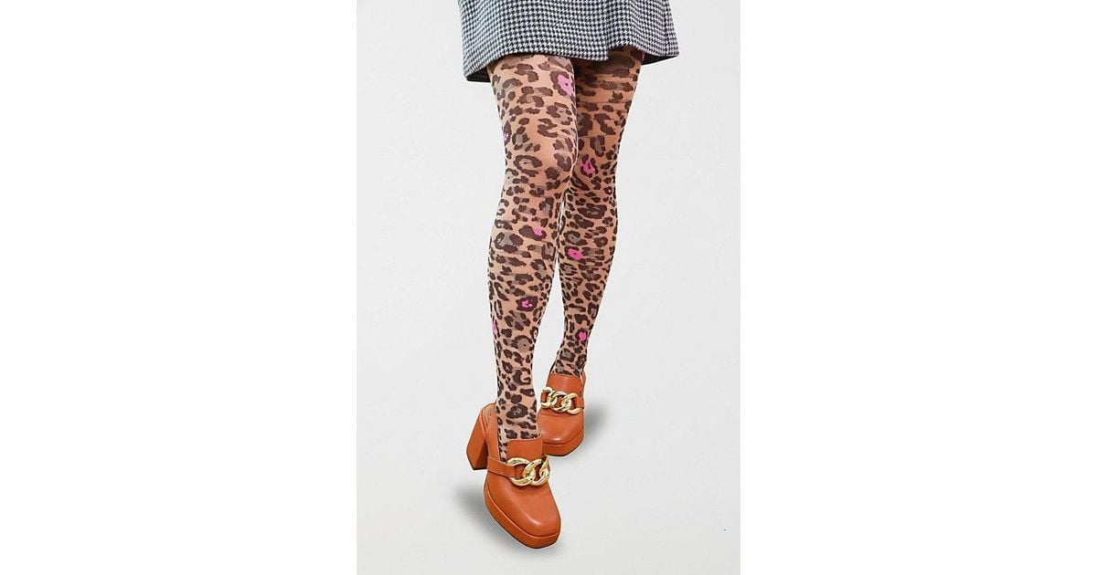 Sock Candy Pop Leopard Print Sheer Tights in Brown | Lyst