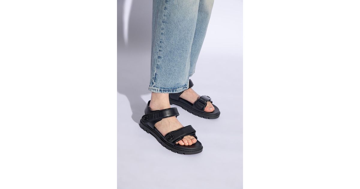 COACH 'Brynn' Sandals in Blue | Lyst