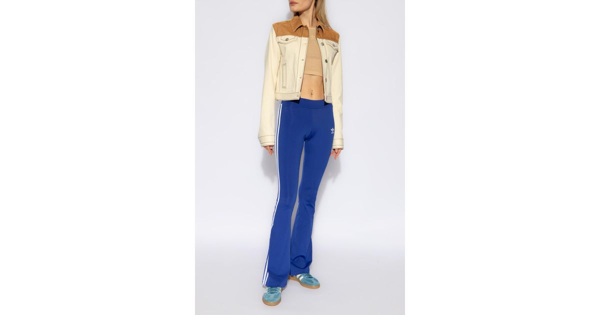 adidas Originals Flared Pants in Blue | Lyst