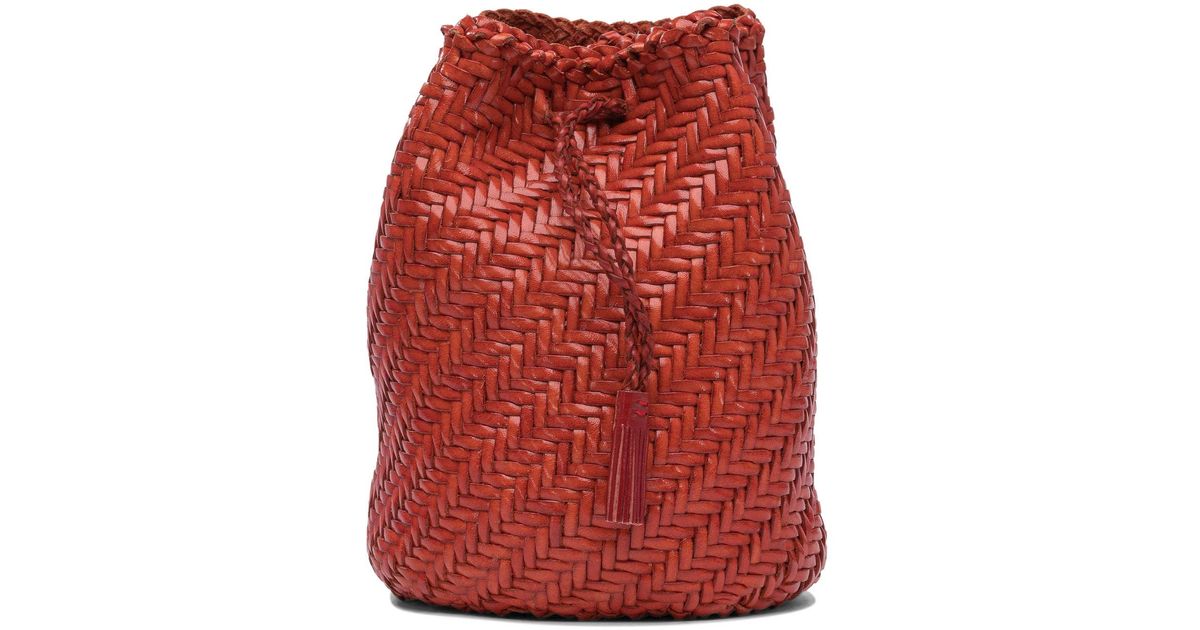 Dragon Diffusion Pompom Double Jump Pompom Shape 2 X Jump Design ...