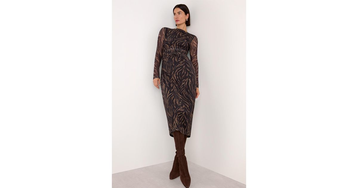 Whistles Abstract Zebra Mesh Dress | Lyst UK