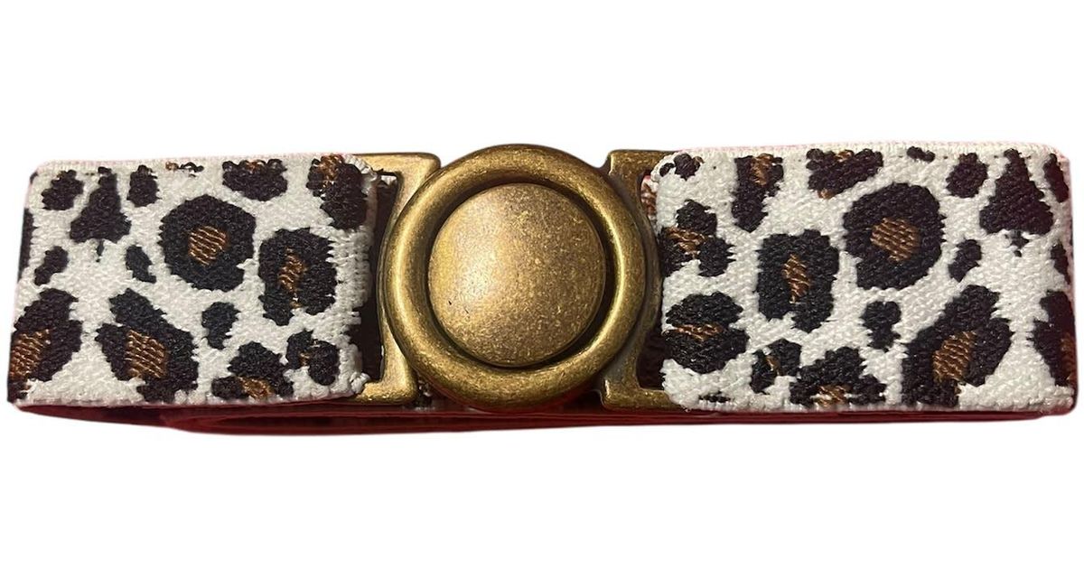 LARA MOTI Cream Leopard Elastic Belt in Black | Lyst