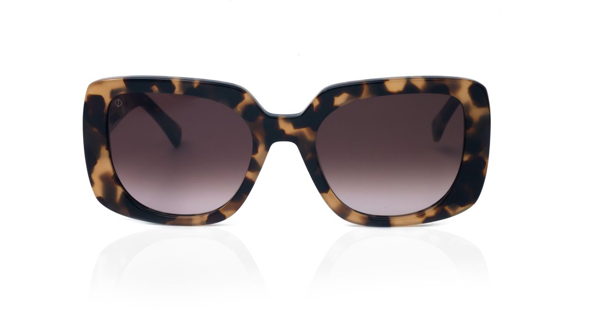 Faos Concept Rhodes in Brown | Lyst