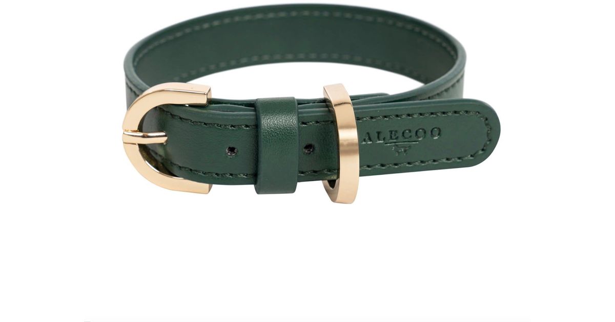 Alecoo Classy Dog Collar Dark in Green | Lyst UK