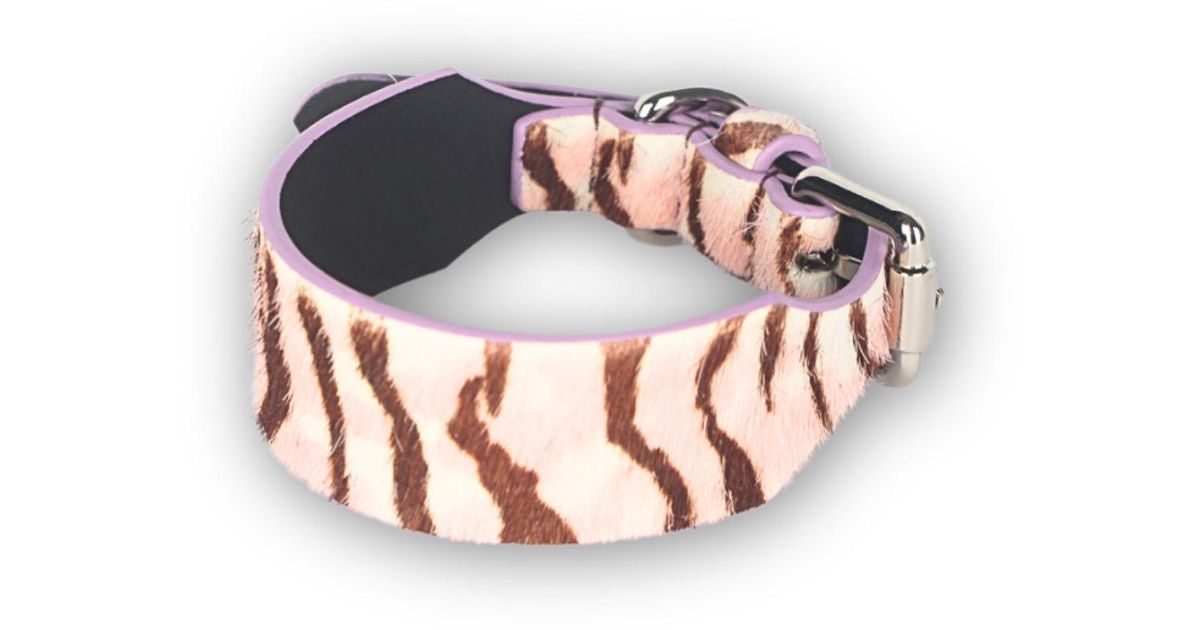 Bruno's Shop Pony Hair Zebra Print Leather Dog Collar in Pink | Lyst UK