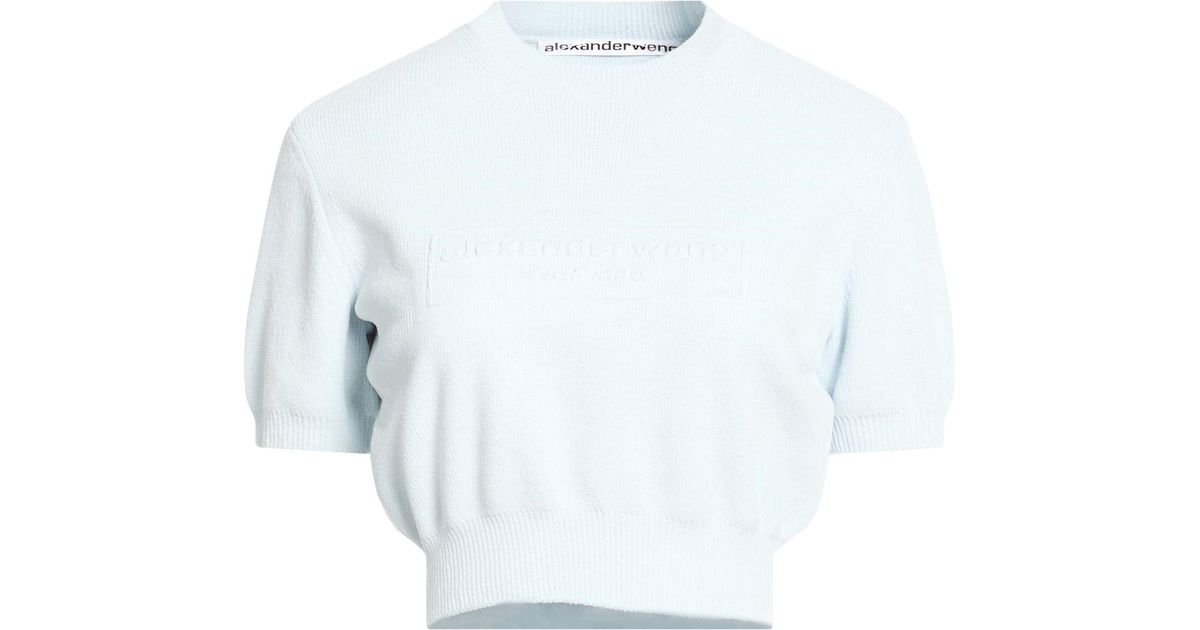 Alexander Wang Sweaters in Blue | Lyst UK