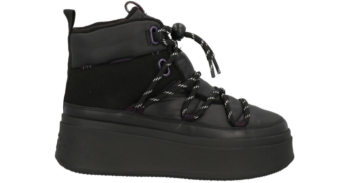 Ash Ankle Boots in Black | Lyst UK