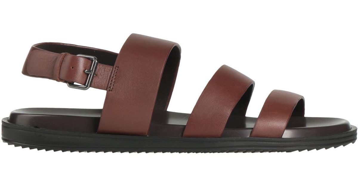 Cerruti 1881 Chocolate Sandals Cow Leather in Brown for Men | Lyst