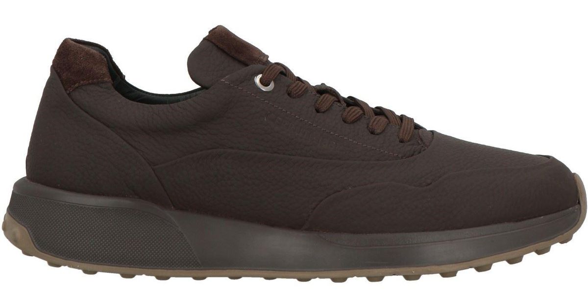 Cerruti 1881 Dark Sneakers Cow Leather in Brown for Men | Lyst UK