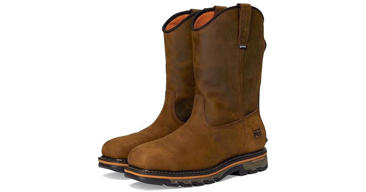 Timberland True Grit Boa Pull-On Composite Safety Toe Waterproof (Earth ...