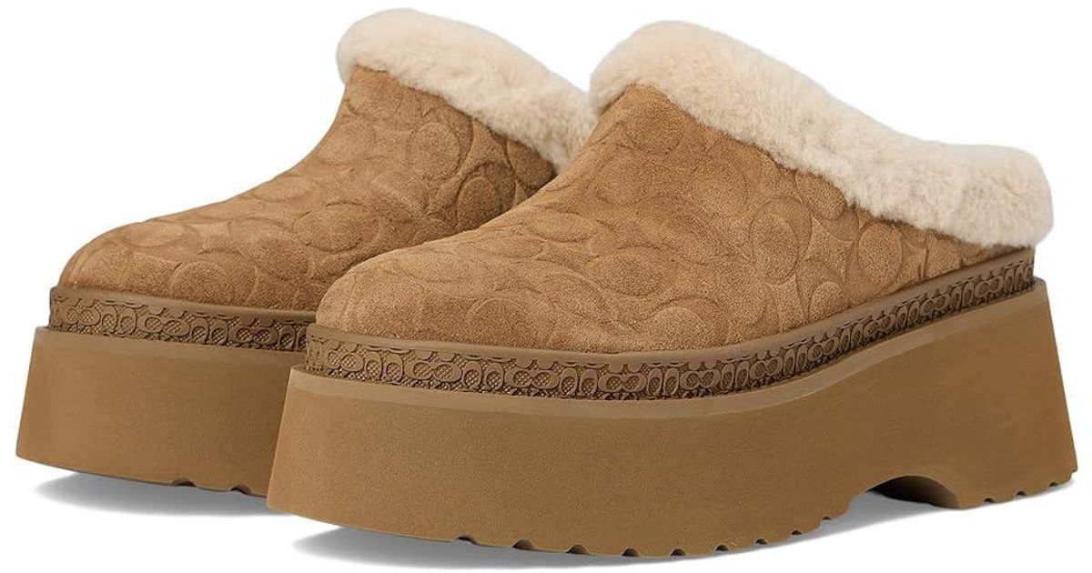 COACH Cecelia Clog in Brown | Lyst