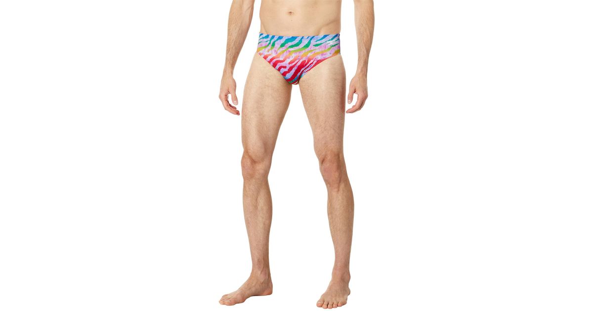 Speedo Pride Printed 1 Brief In Blue For Men Lyst
