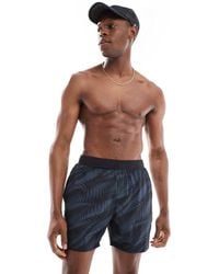 Speedo The Lookout Volley 16" Swim Trunks in Brown for Men | Lyst UK