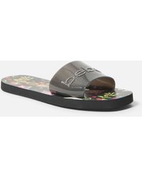 Bebe Flat sandals for Women | Online Sale up to 36% off | Lyst
