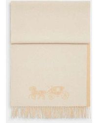 COACH Horse And Carriage Double Face Oversized Muffler in Green | Lyst