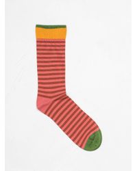 Bonne Maison Hosiery for Women - Lyst.com
