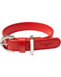 Alecoo Classy Dog Collar Dark in Green | Lyst UK