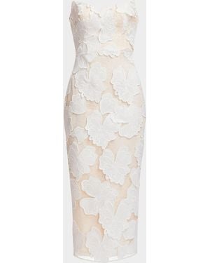 Dress the Population Black Label Dresses for Women | Online Sale up to ...