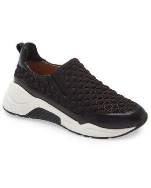 Linea Paolo Low-top sneakers for Women | Online Sale up to 31% off | Lyst