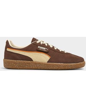Brown PUMA Sneakers for Men | Lyst