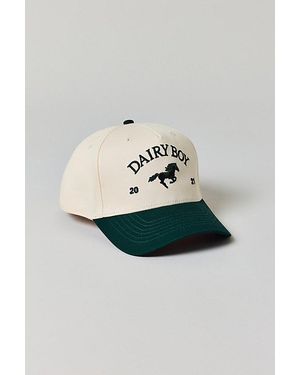 Shop Dairy Boy Online | Sale & New Season | Lyst