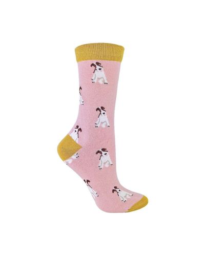 Pink Miss Sparrow Hosiery for Women | Lyst