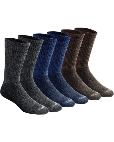 Blue Dickies Underwear For Men Lyst
