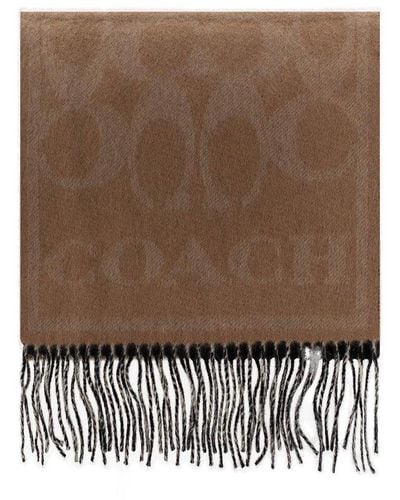 Brown COACH Scarves and mufflers for Women | Lyst