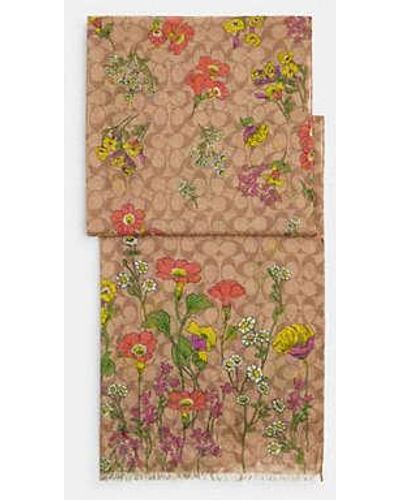 Black COACH Scarves and mufflers for Women | Lyst