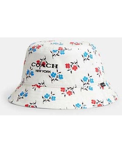 Black COACH Hats for Women | Lyst