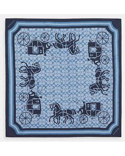 Blue COACH Scarves and mufflers for Women | Lyst