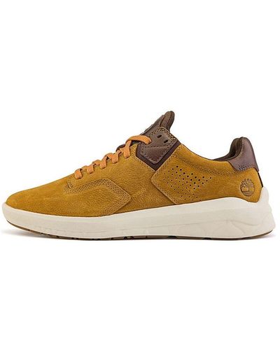 Brown Timberland Sneakers for Men | Lyst
