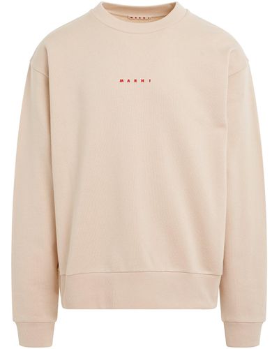 Ivory Sweatshirts for Men | Lyst