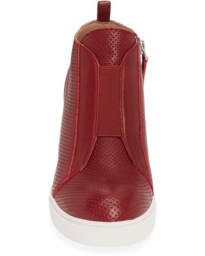 Linea Paolo Sneakers for Women | Online Sale up to 30% off | Lyst