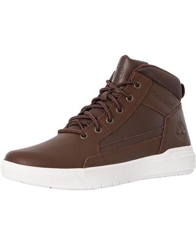 Brown Timberland Sneakers for Men | Lyst