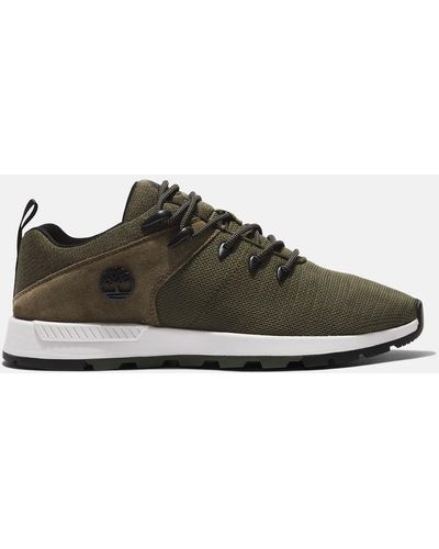 Green Timberland Trainers for Men | Lyst UK