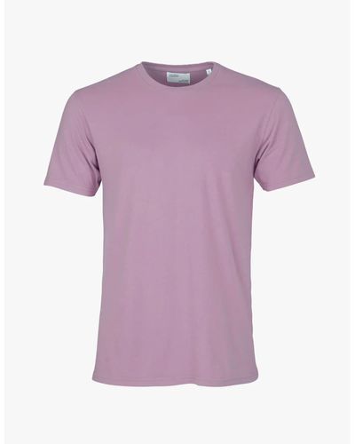 COLORFUL STANDARD T-shirts for Men | Online Sale up to 49% off | Lyst