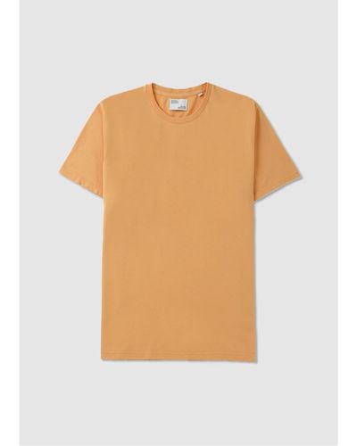 COLORFUL STANDARD T-shirts for Men | Online Sale up to 50% off | Lyst