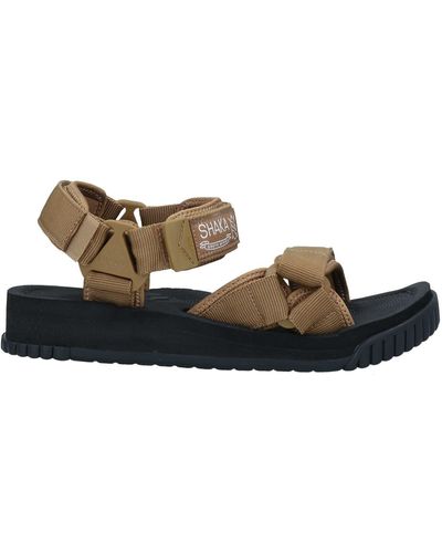 Shaka Shoes for Women | Online Sale up to 76% off | Lyst UK