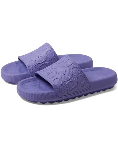 Purple COACH Shoes for Women | Lyst