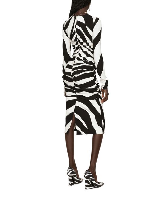 Dolce And Gabbana Zebra Print Cady Midi Dress In Black Lyst Uk