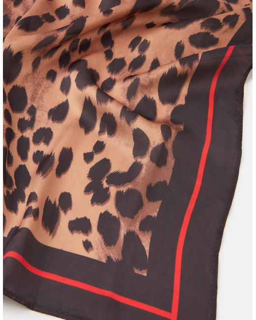Accessorize Leopard Print Square Satin Scarf in Black | Lyst UK