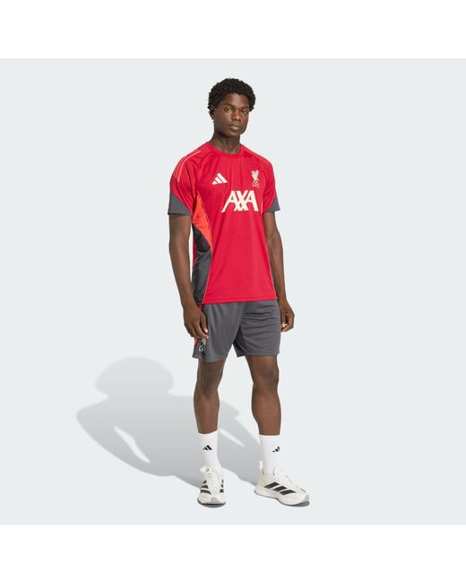 adidas Liverpool Fc Tiro 25 Competition Training Jersey in Red for Men ...