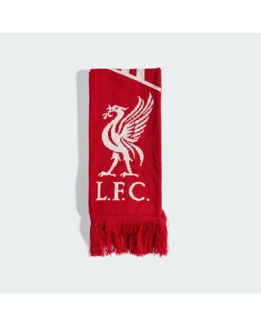 adidas Liverpool Fc Scarf in Red | Lyst UK
