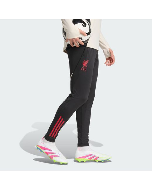 adidas Liverpool Fc Tiro 25 Competition Training Pants in Black for Men ...