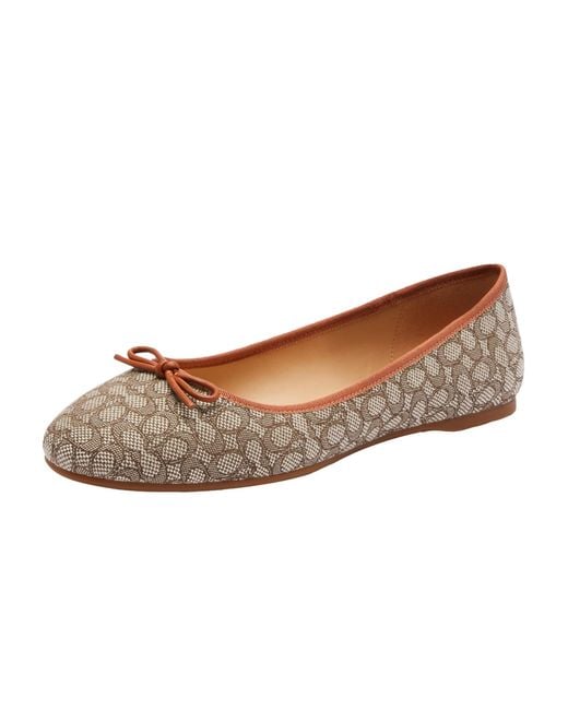 COACH Abigail Ballet Flat in Brown | Lyst